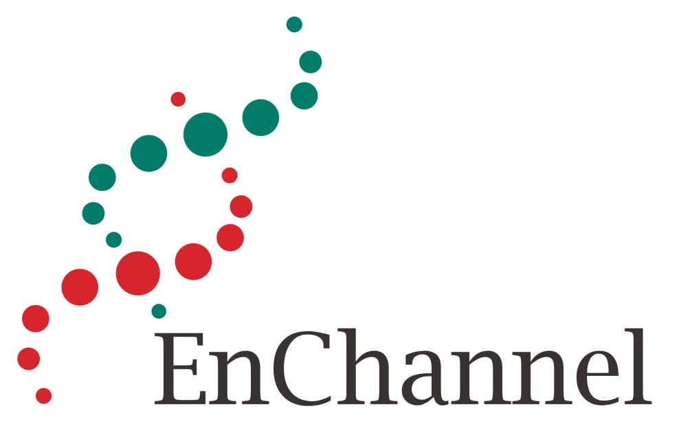 Software Engineer, Principal (Cyber Security/Ui) @ ENCHANNEL MEDICAL LTD