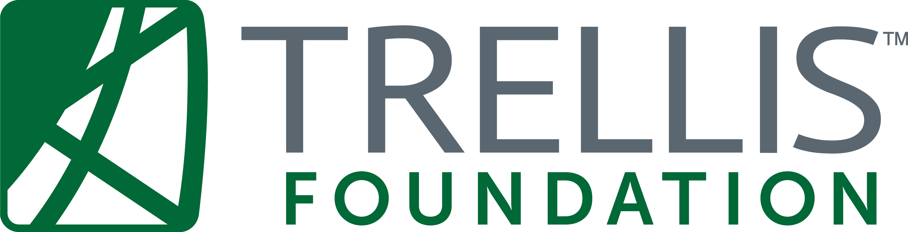 Vice President of Programs @ Trellis Foundation